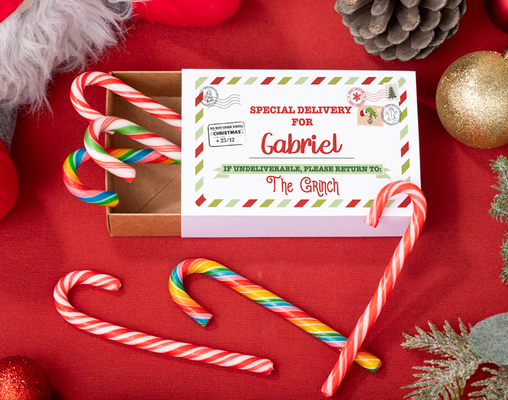 Box of candy canes "Special delivery" - Made In Gift